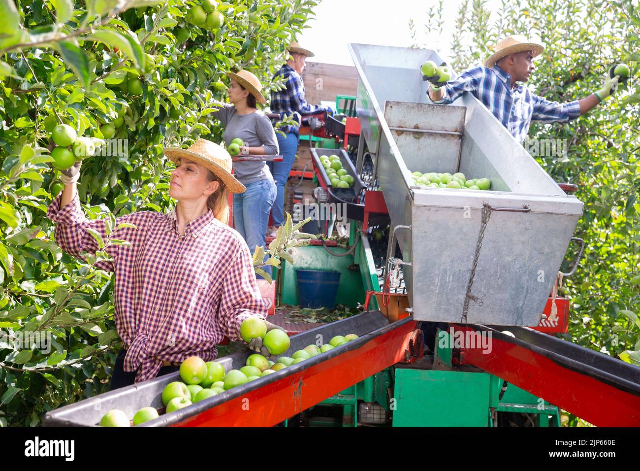 Apple harvesting machine hi-res stock photography and images - Alamy