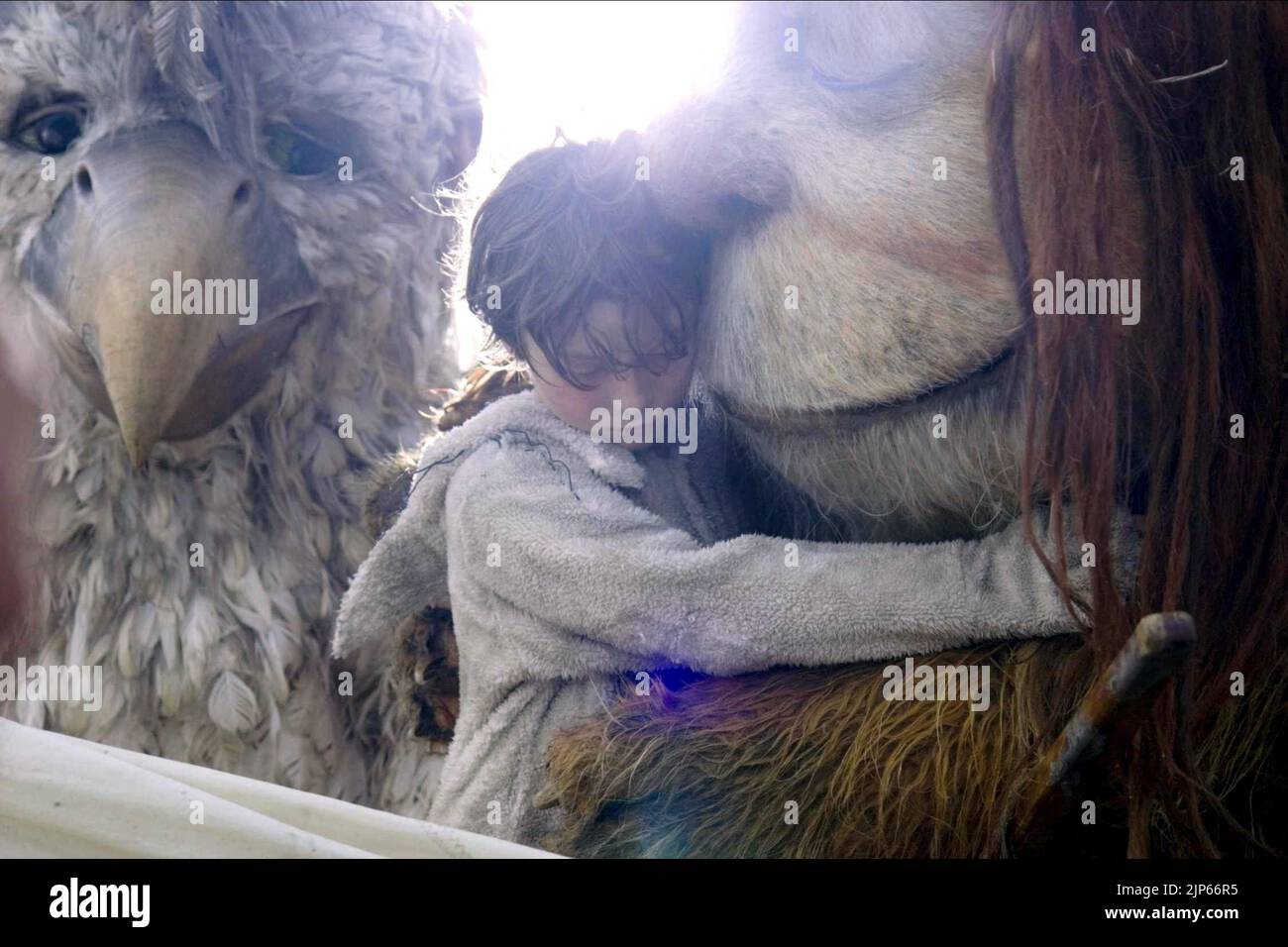 DOUGLAS, MAX RECORDS, KW, WHERE THE WILD THINGS ARE, 2009 Stock Photo ...