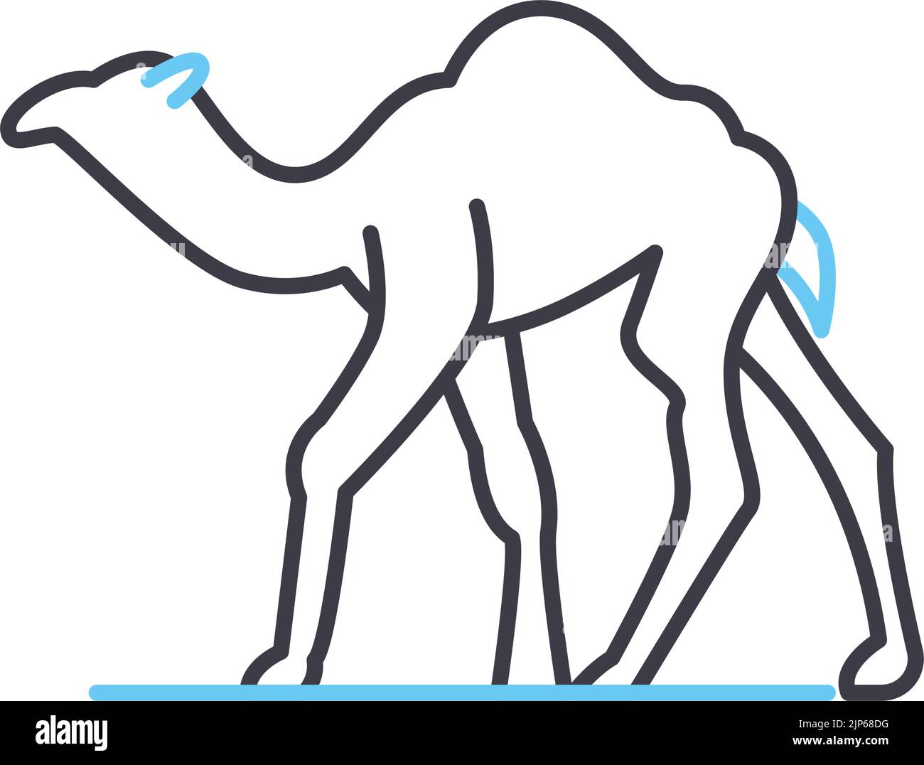 Camel outline hi-res stock photography and images - Alamy