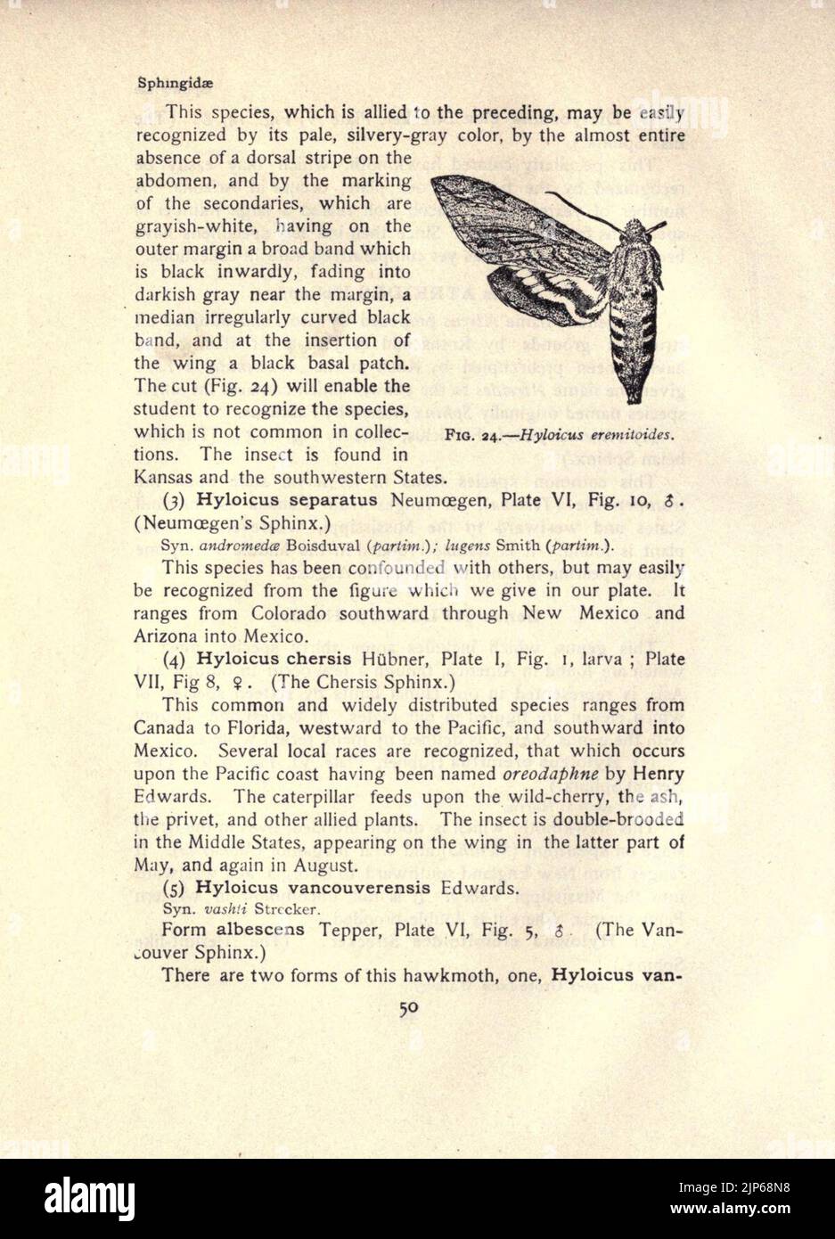The moth book (Page 50, Fig. 24 Stock Photo - Alamy