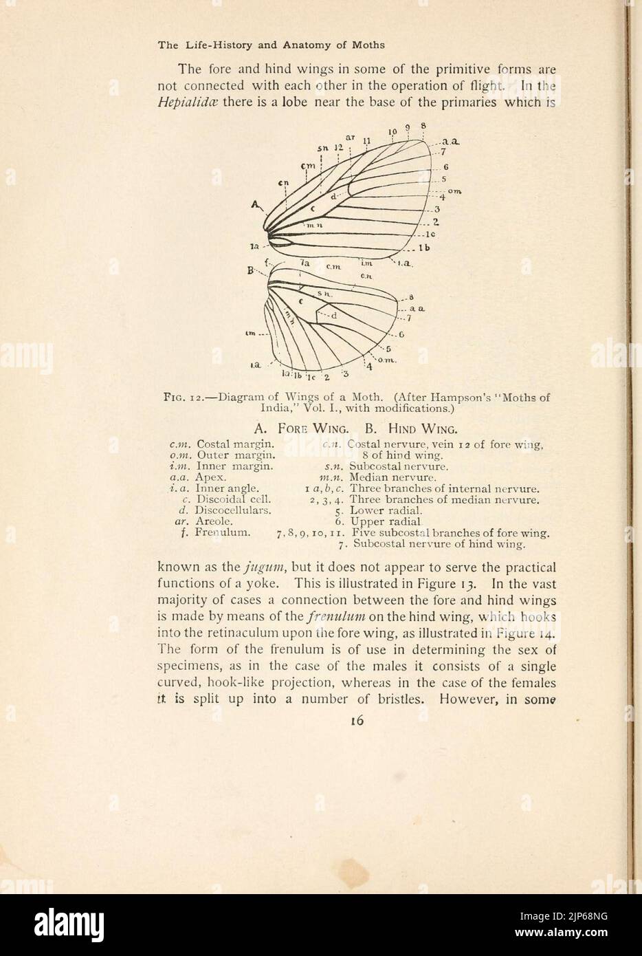 The moth book (Page 16 Stock Photo - Alamy