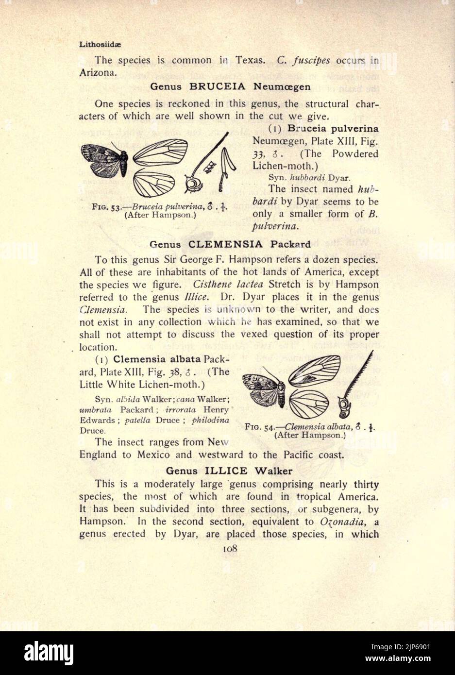 The moth book (Page 108, Figs. 53-54 Stock Photo - Alamy