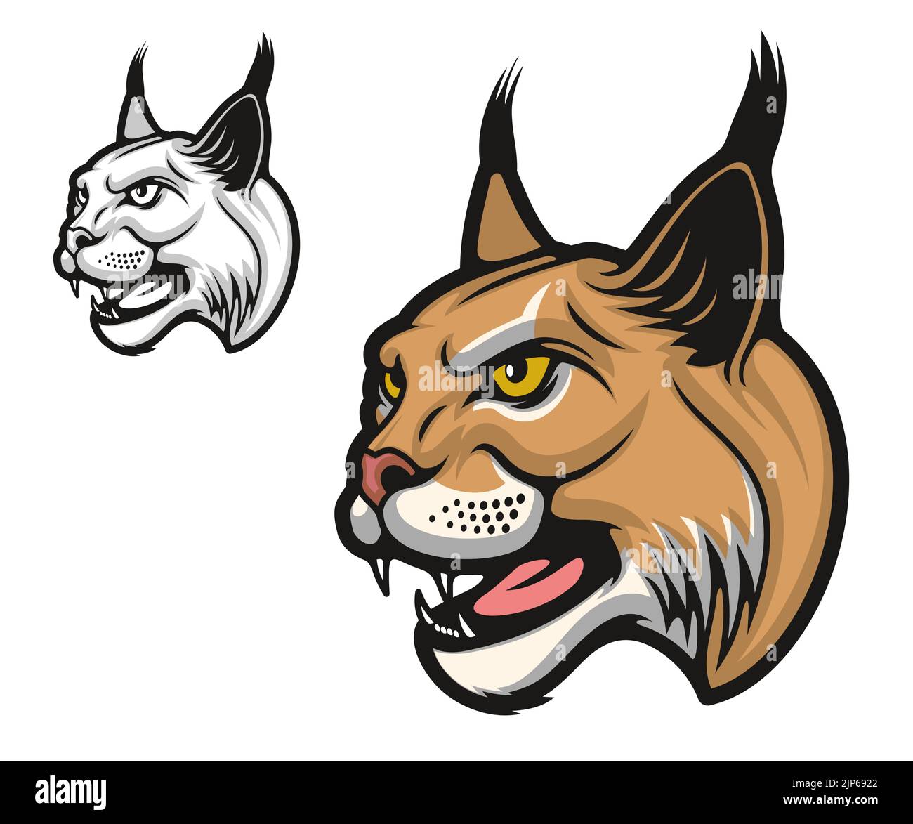 Angry lynx bobcat cartoon animal mascot. Wild cat head. Sport team lynx ...