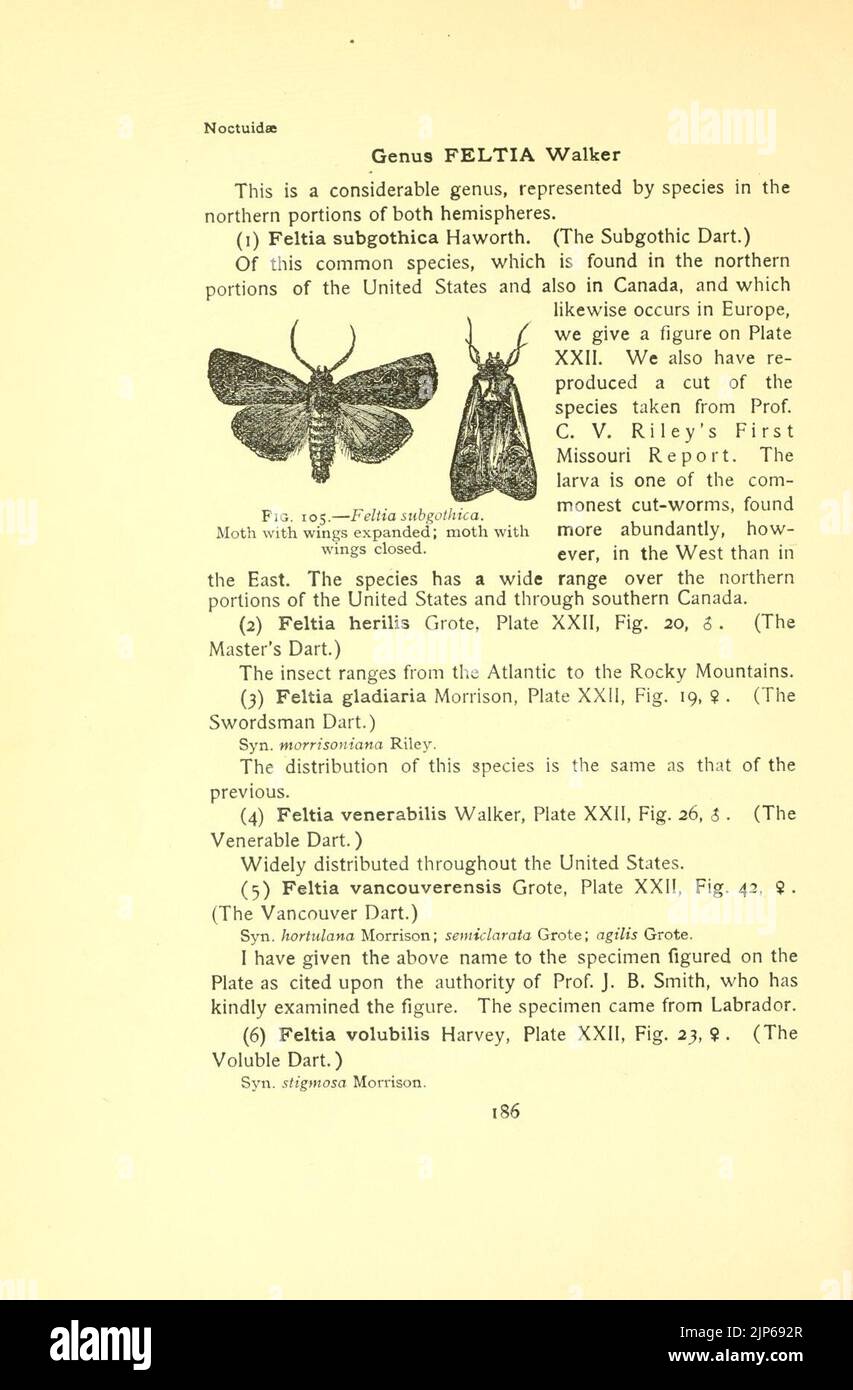 The moth book (Page 186 Stock Photo - Alamy