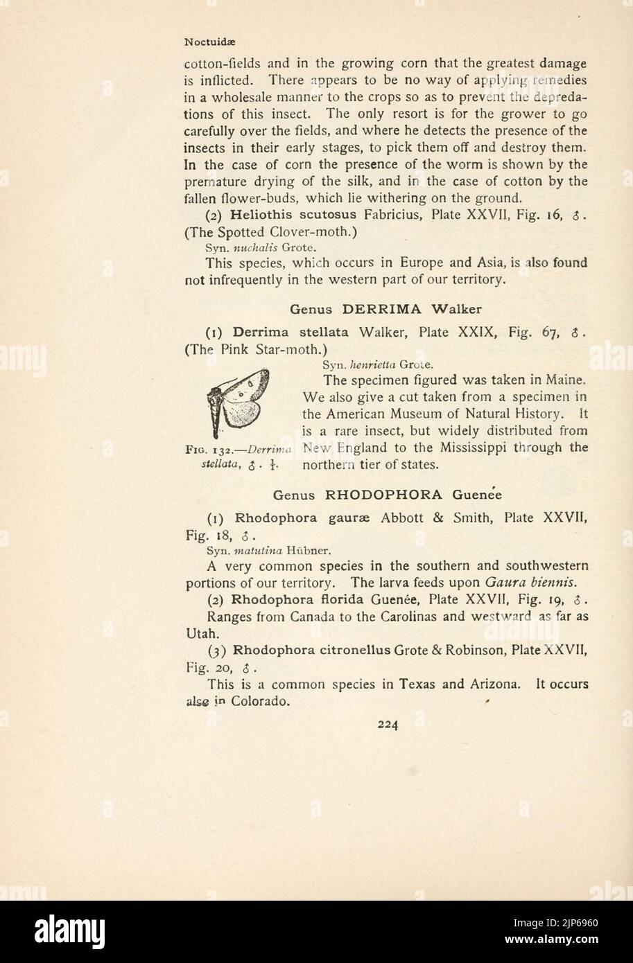 The moth book (Page 224 Stock Photo - Alamy