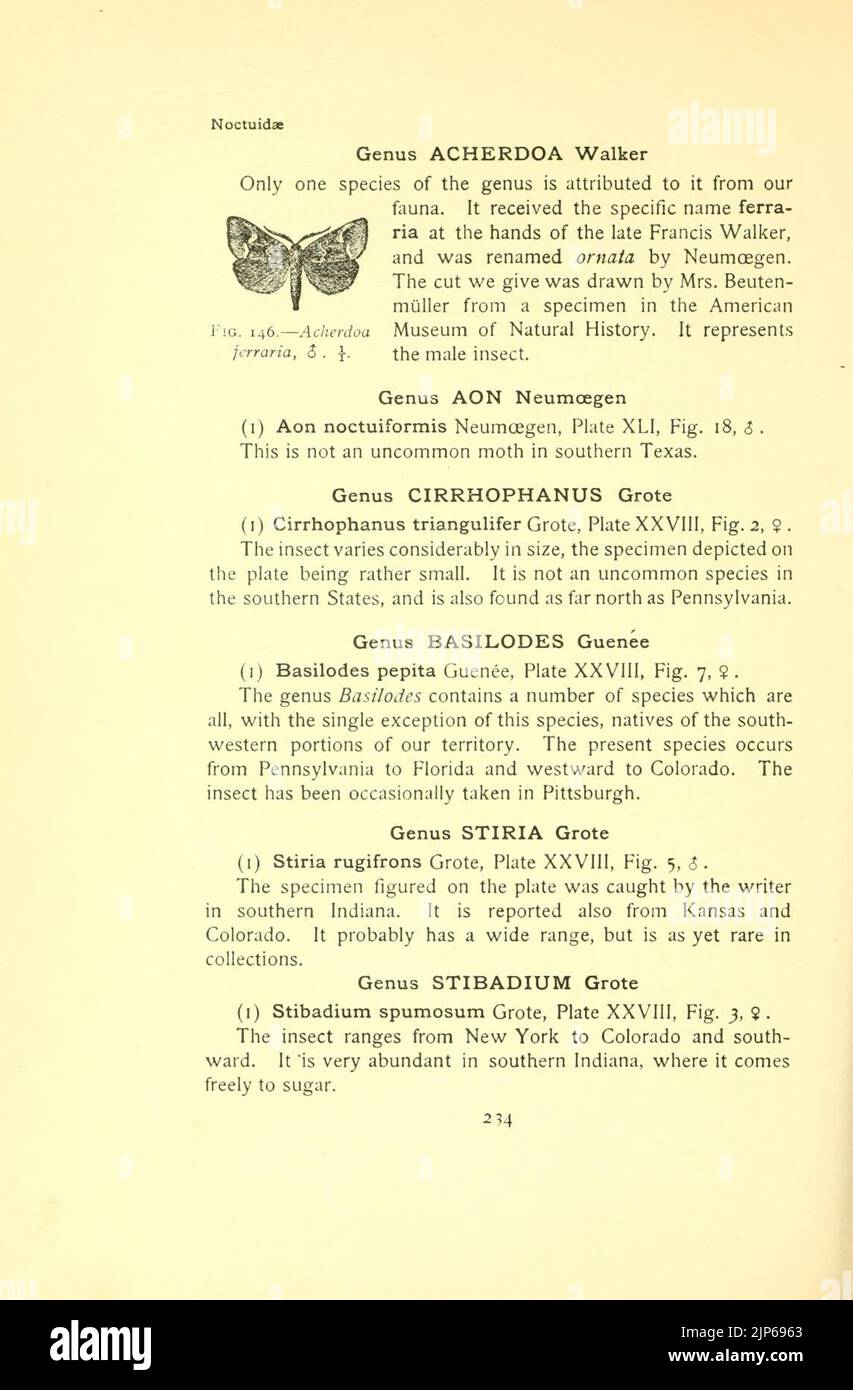 The moth book (Page 234 Stock Photo - Alamy