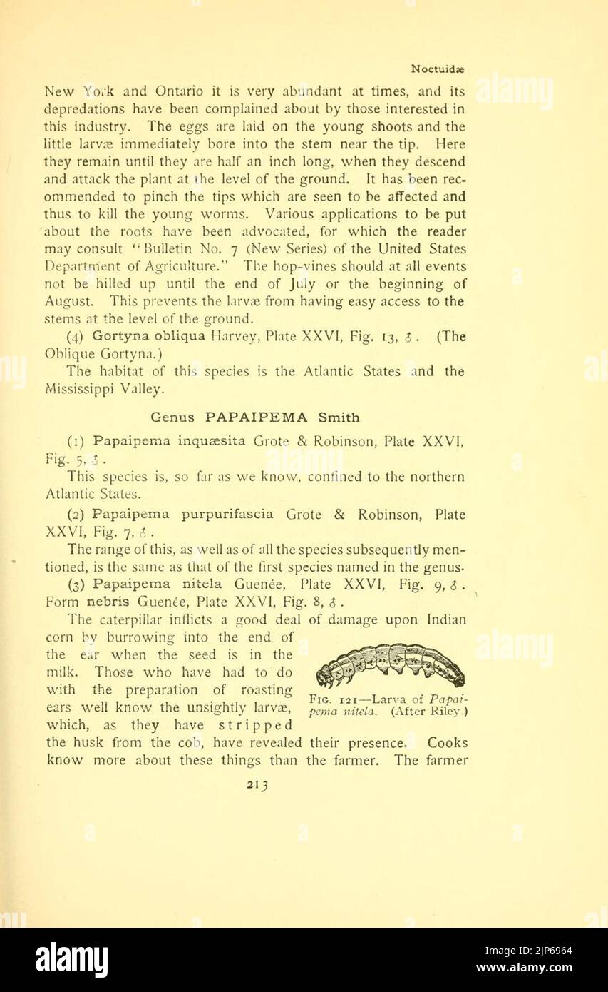 The moth book (Page 213 Stock Photo - Alamy