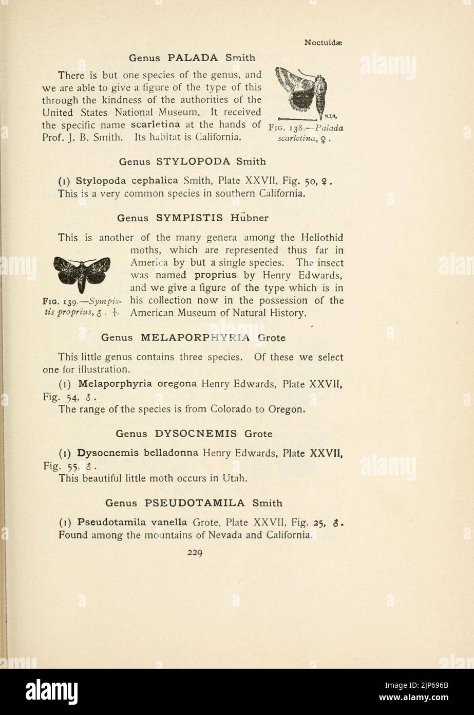 The moth book (Page 229 Stock Photo - Alamy