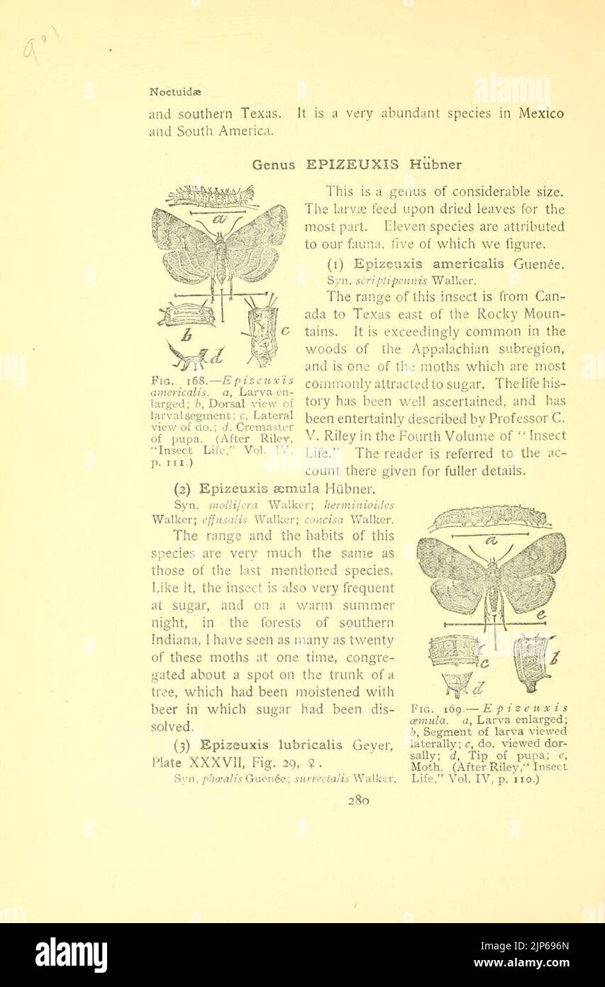 The moth book (Page 280 Stock Photo - Alamy