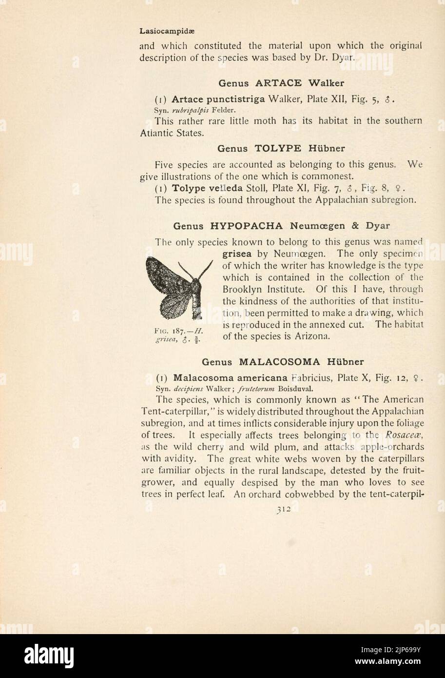 The moth book (Page 312 Stock Photo - Alamy