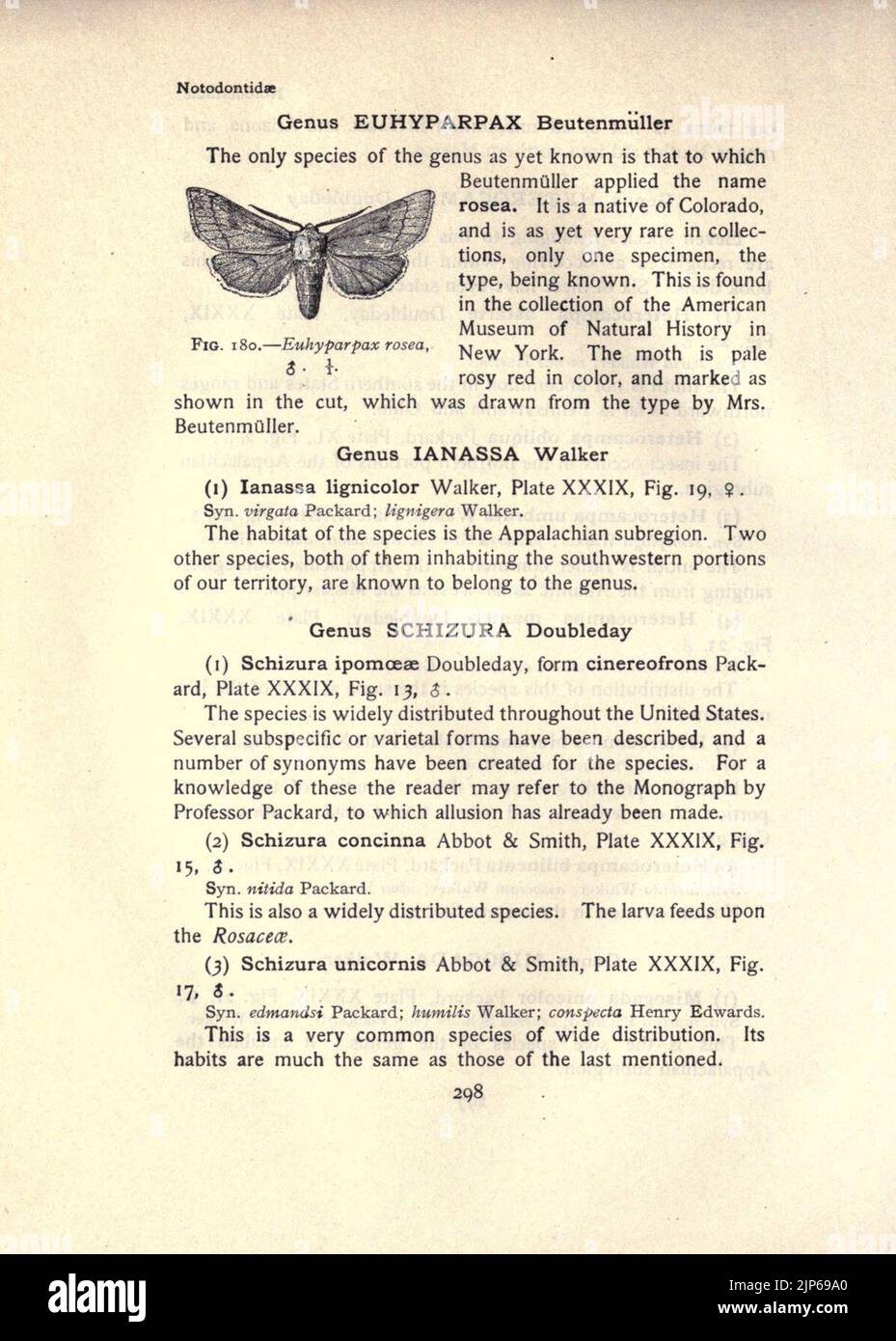 The moth book (Page 298, Fig. 180 Stock Photo - Alamy