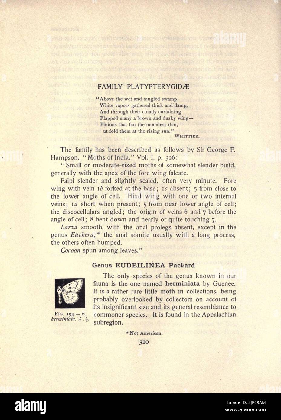 The moth book (Page 320, Fig. 194 Stock Photo - Alamy