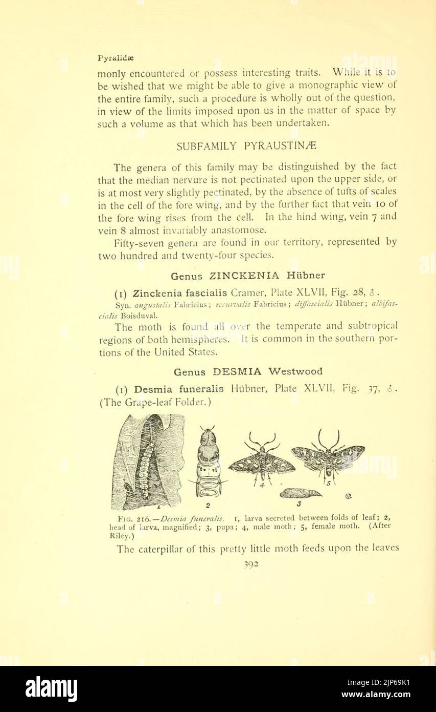 The moth book (Page 392 Stock Photo - Alamy