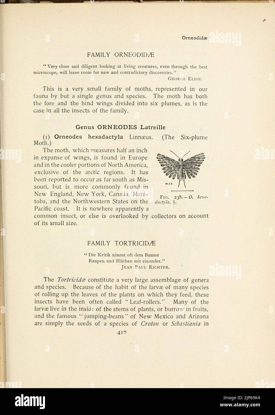 The moth book (Page 417 Stock Photo - Alamy