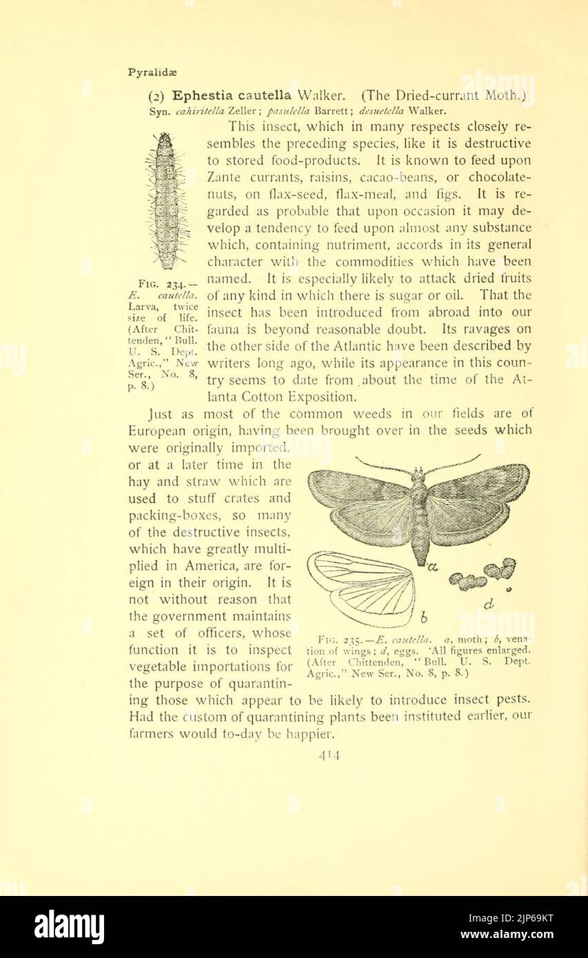 The moth book (Page 414 Stock Photo - Alamy