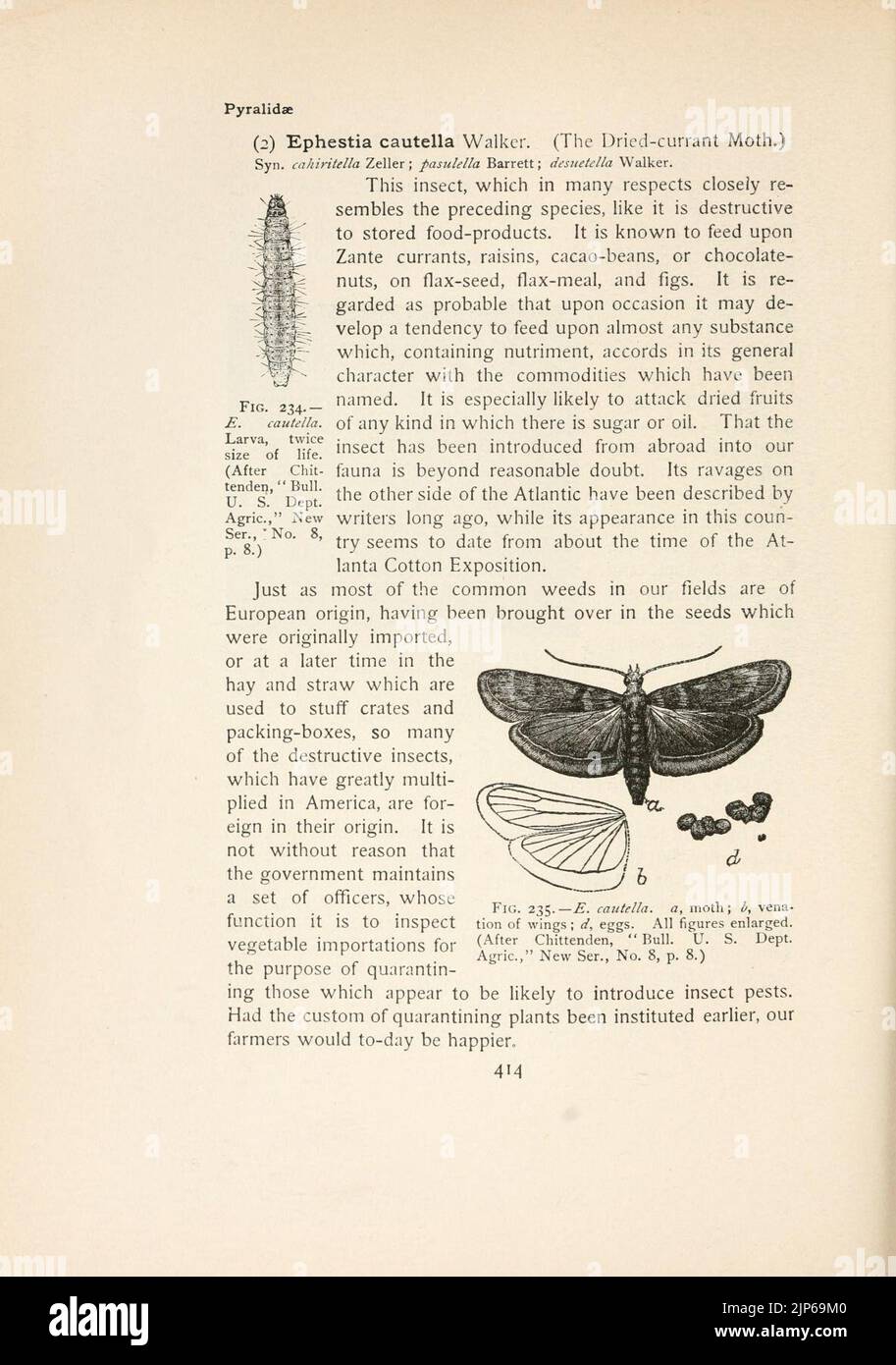 The moth book (Page 414 Stock Photo - Alamy