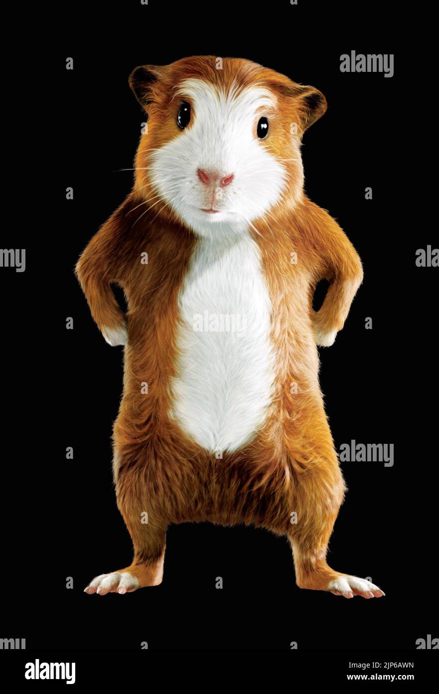 DARWIN, G-FORCE, 2009 Stock Photo - Alamy