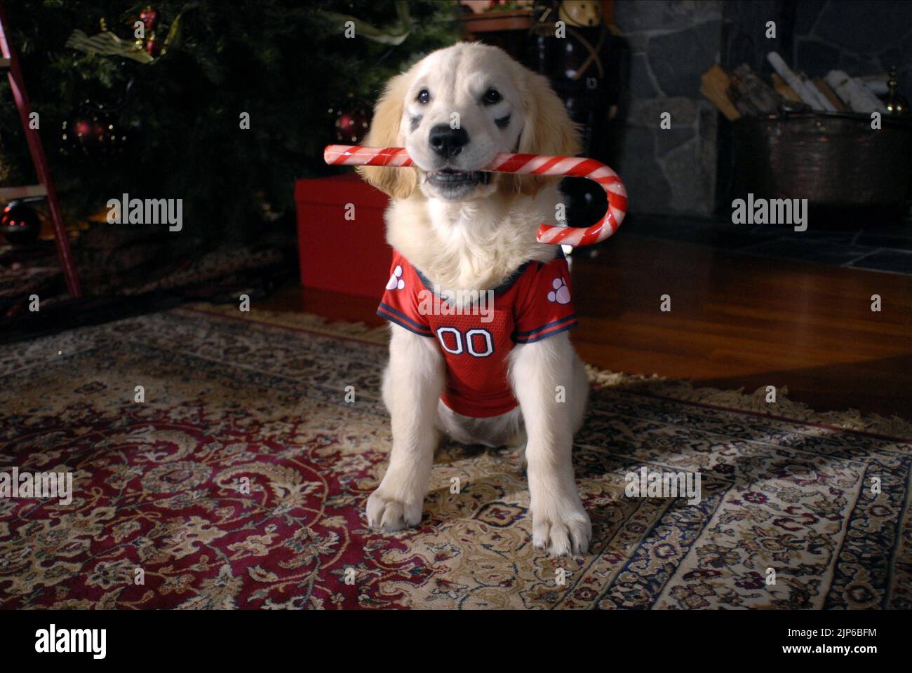 BUDDERBALL, SANTA BUDDIES, 2009 Stock Photo - Alamy