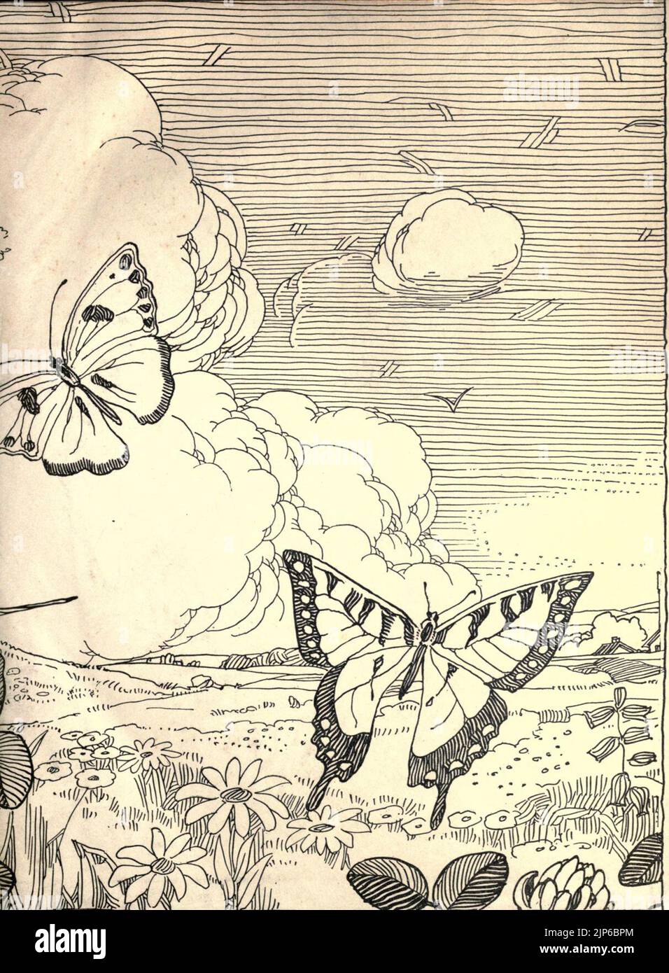 The moth book Stock Photo - Alamy