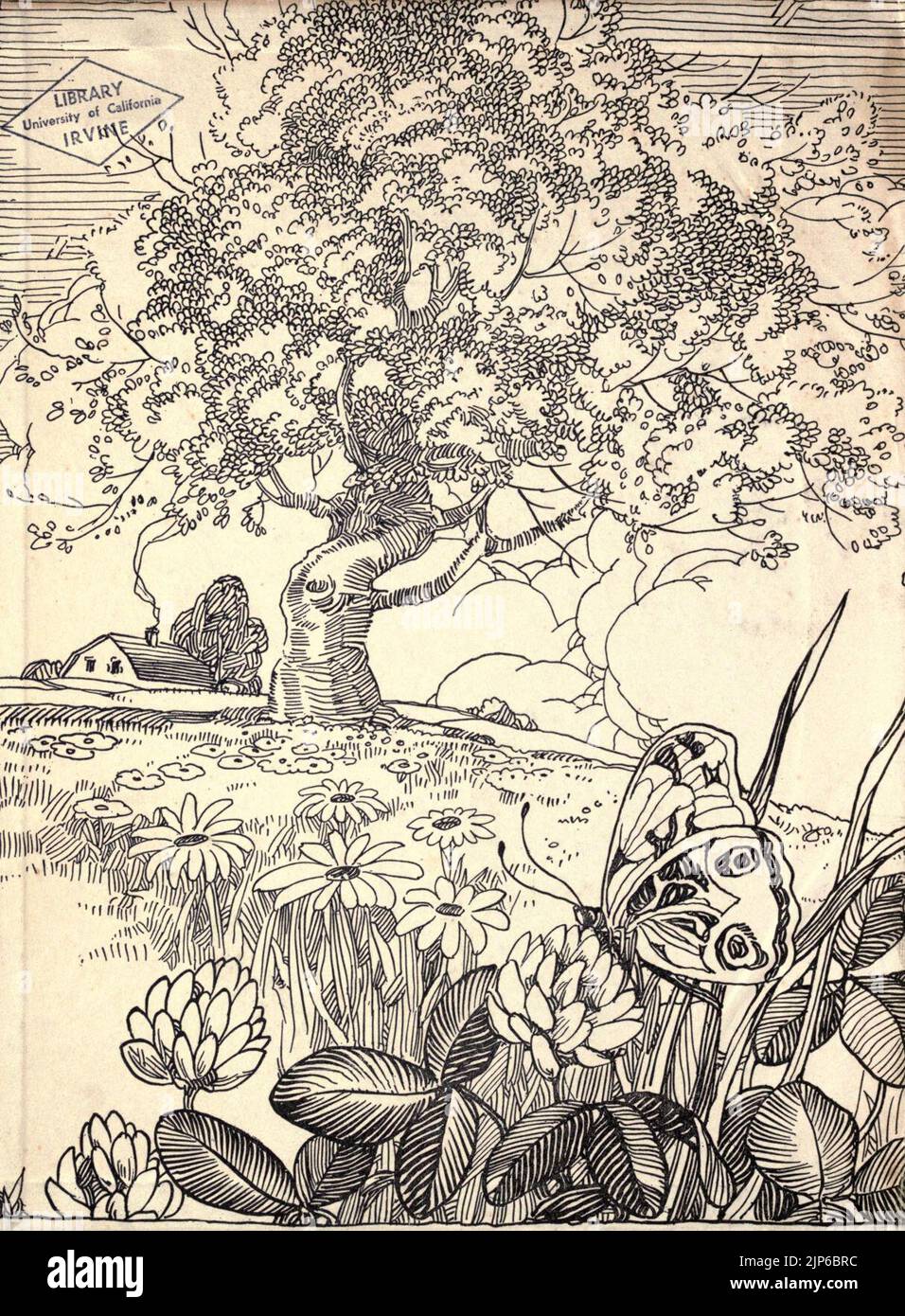 The moth book Stock Photo - Alamy