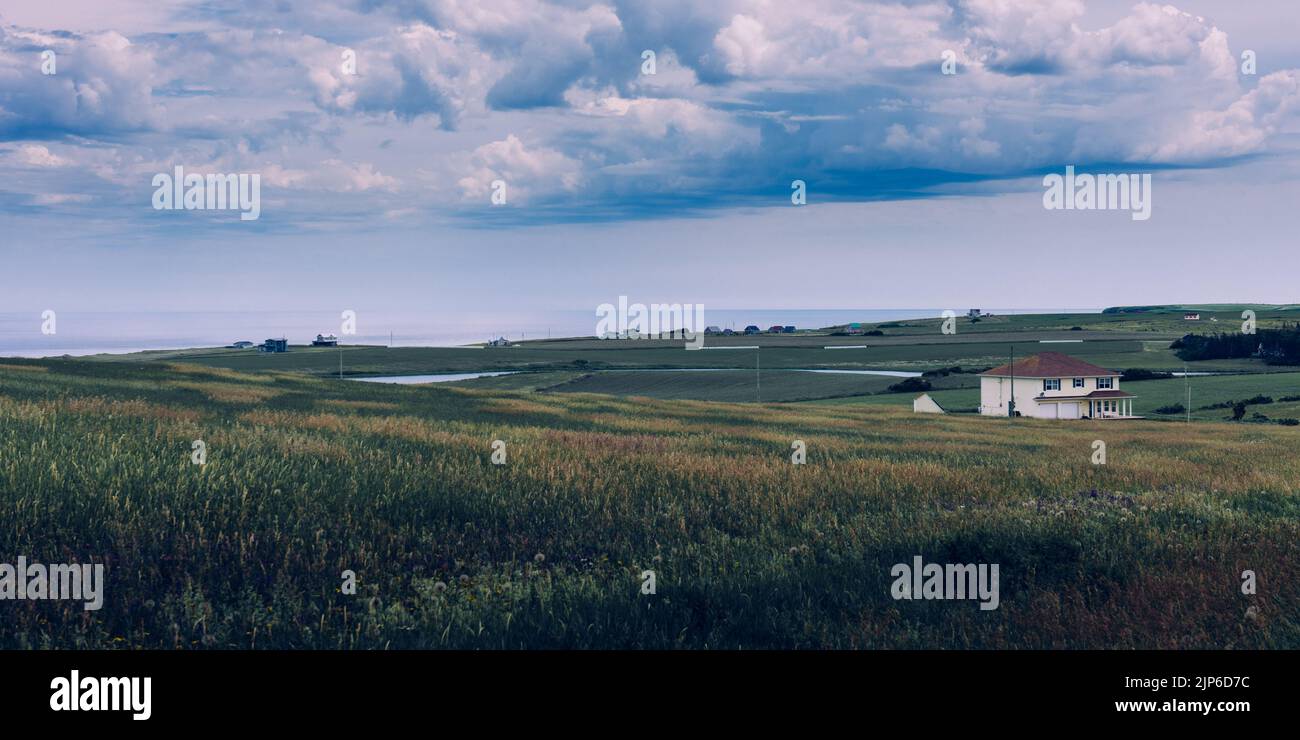 Fields of PEI and its peaceful life Stock Photo - Alamy