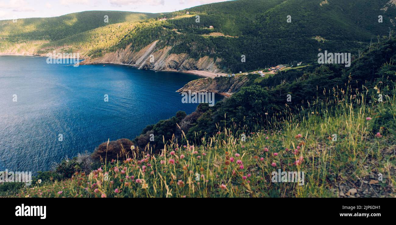Meat cove hi-res stock photography and images - Alamy