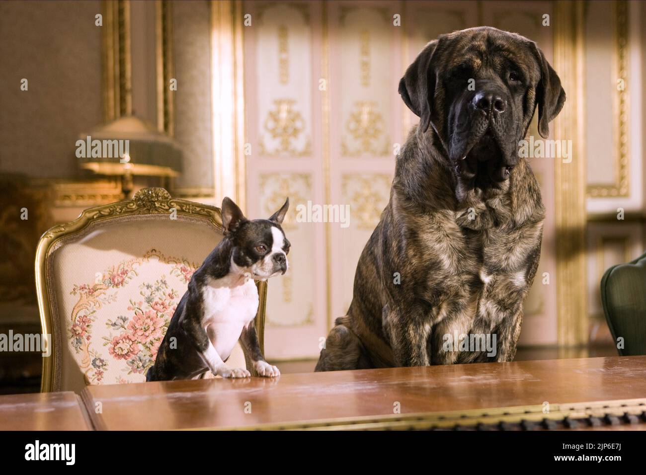 Lenny hi-res stock photography and images - Alamy