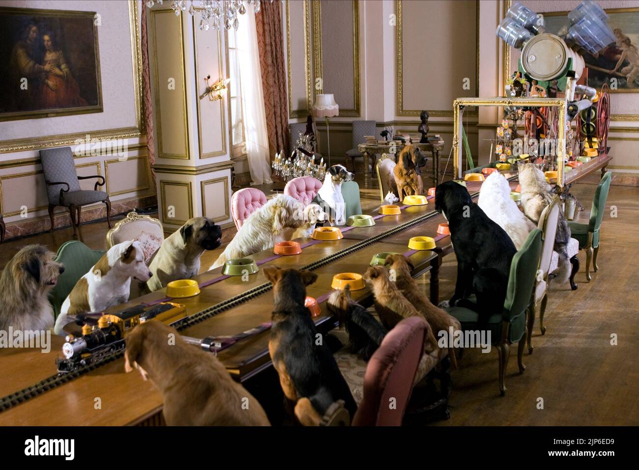 DOGS SEATED AT DINNER TABLE, HOTEL FOR DOGS, 2009 Stock Photo - Alamy