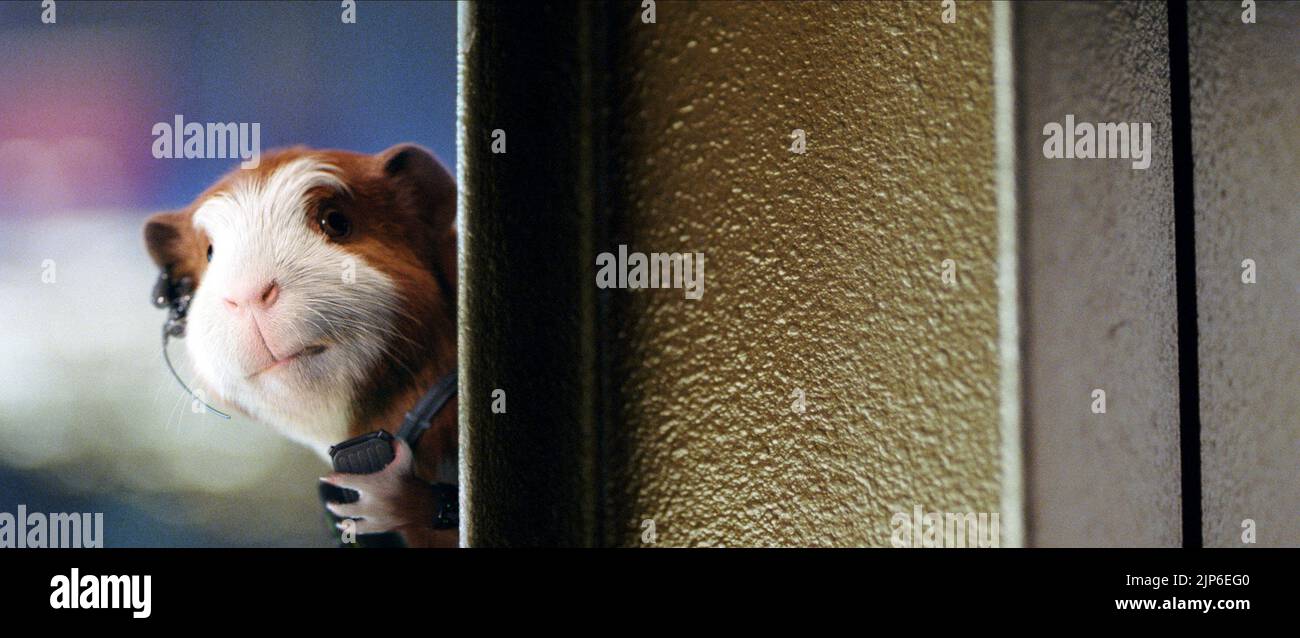 AGENT DARWIN, G-FORCE, 2009 Stock Photo - Alamy