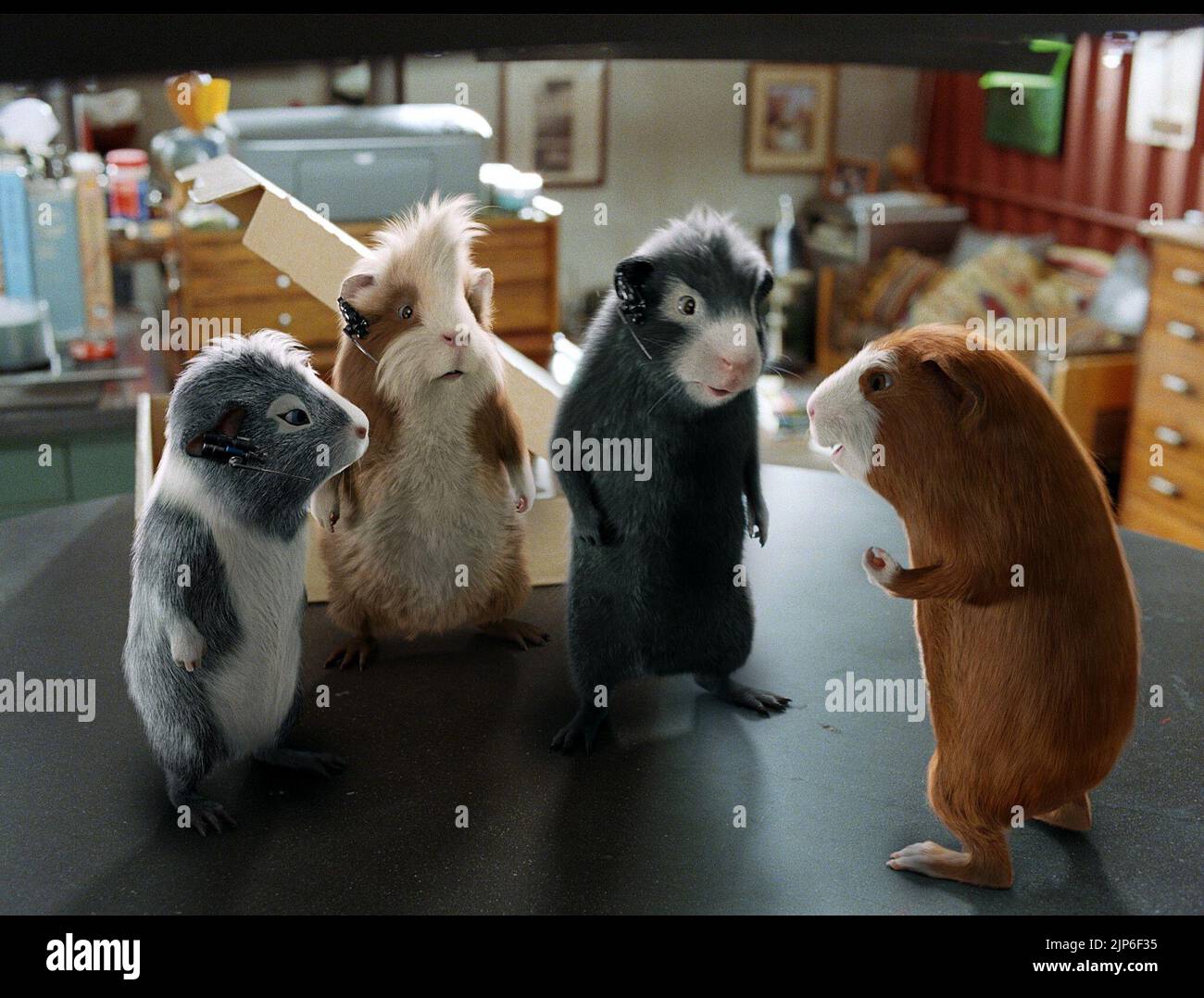 JUAREZ,HURLEY,BLASTER,DARWIN, G-FORCE, 2009 Stock Photo - Alamy