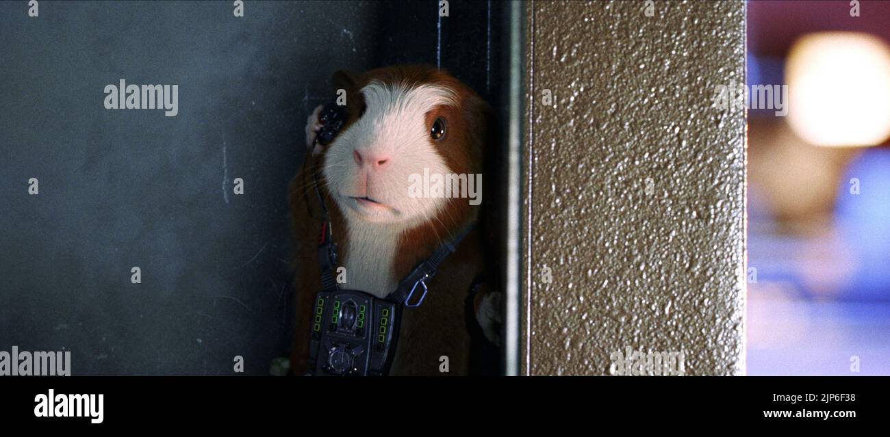 AGENT DARWIN, G-FORCE, 2009 Stock Photo - Alamy