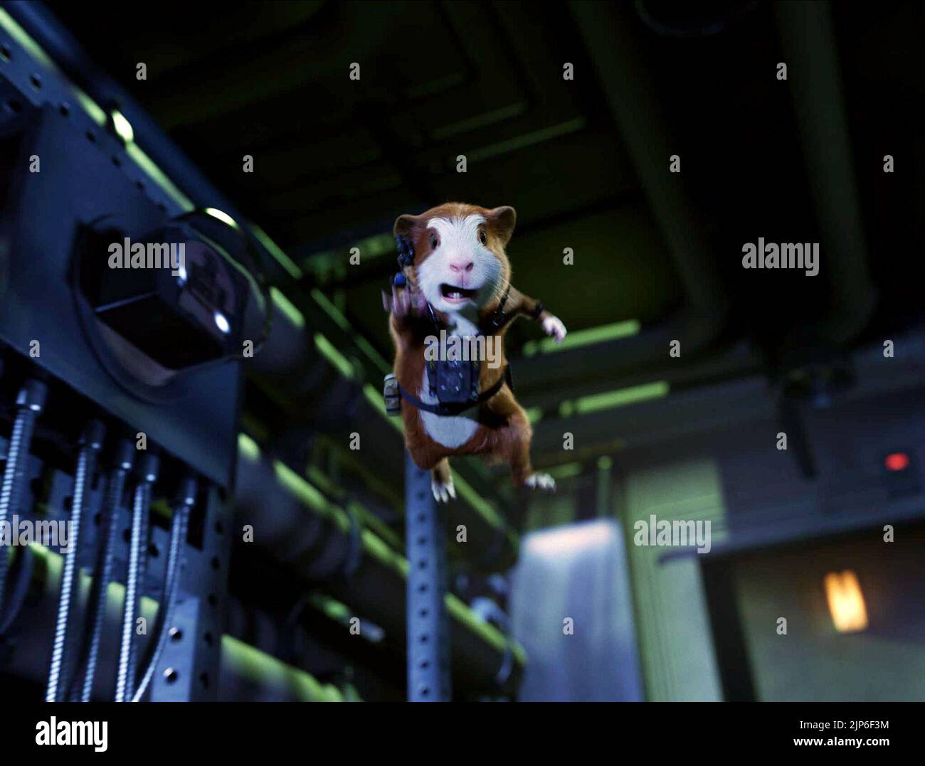 AGENT DARWIN, G-FORCE, 2009 Stock Photo - Alamy