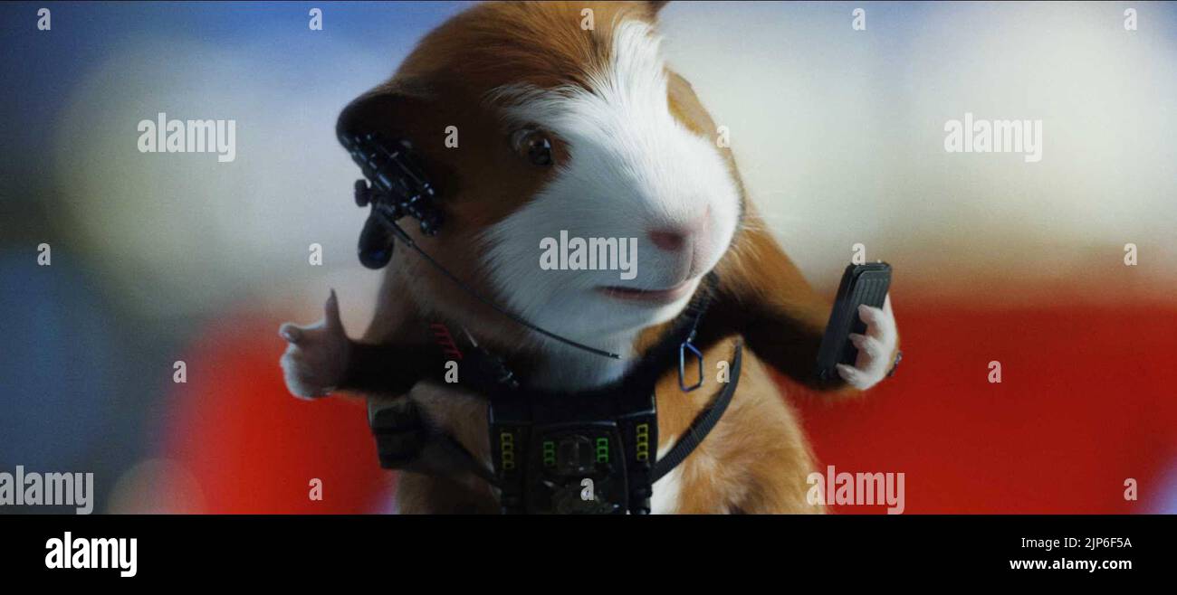 AGENT DARWIN, G-FORCE, 2009 Stock Photo - Alamy