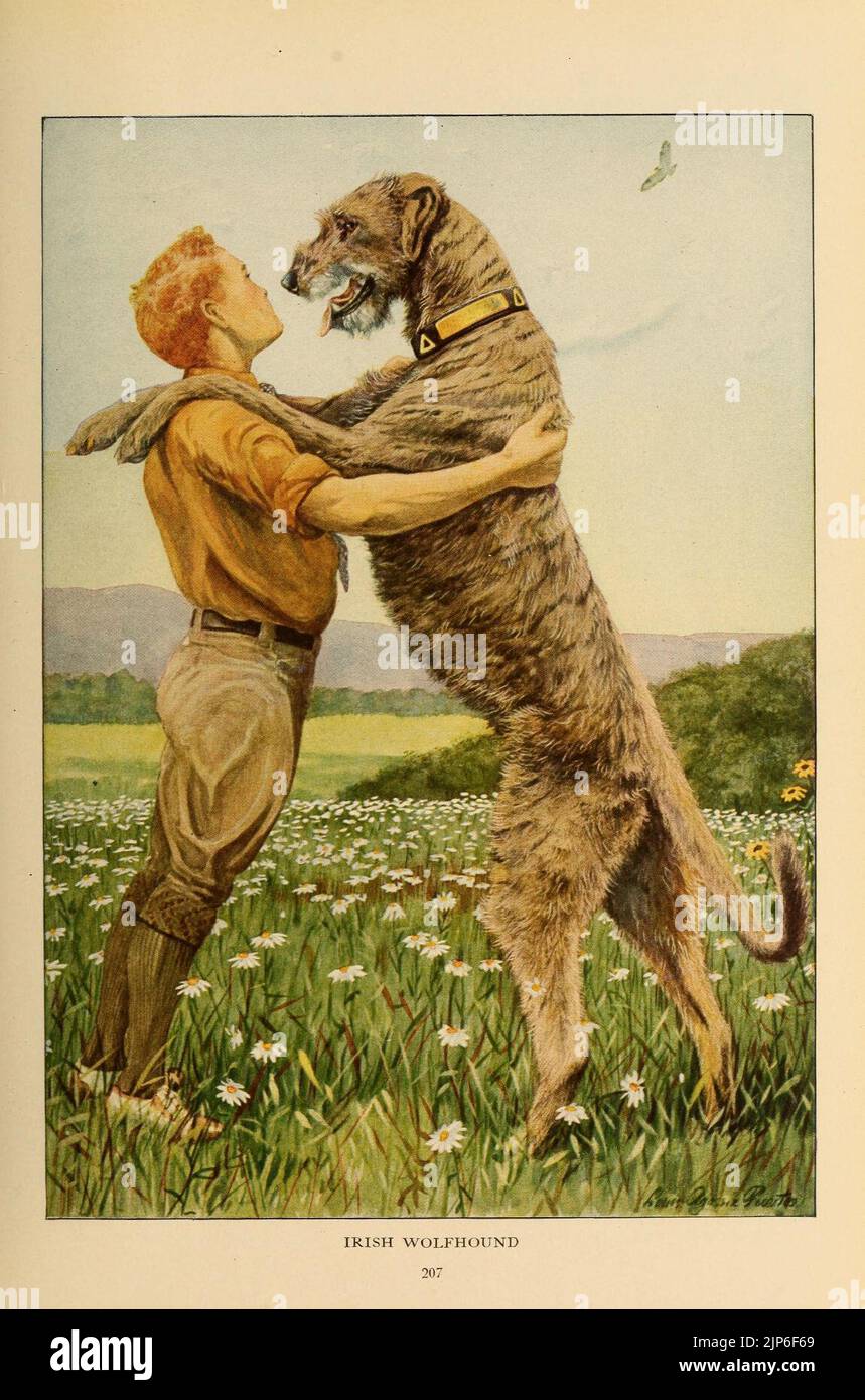Vintage national geographic magazine hi-res stock photography and ...