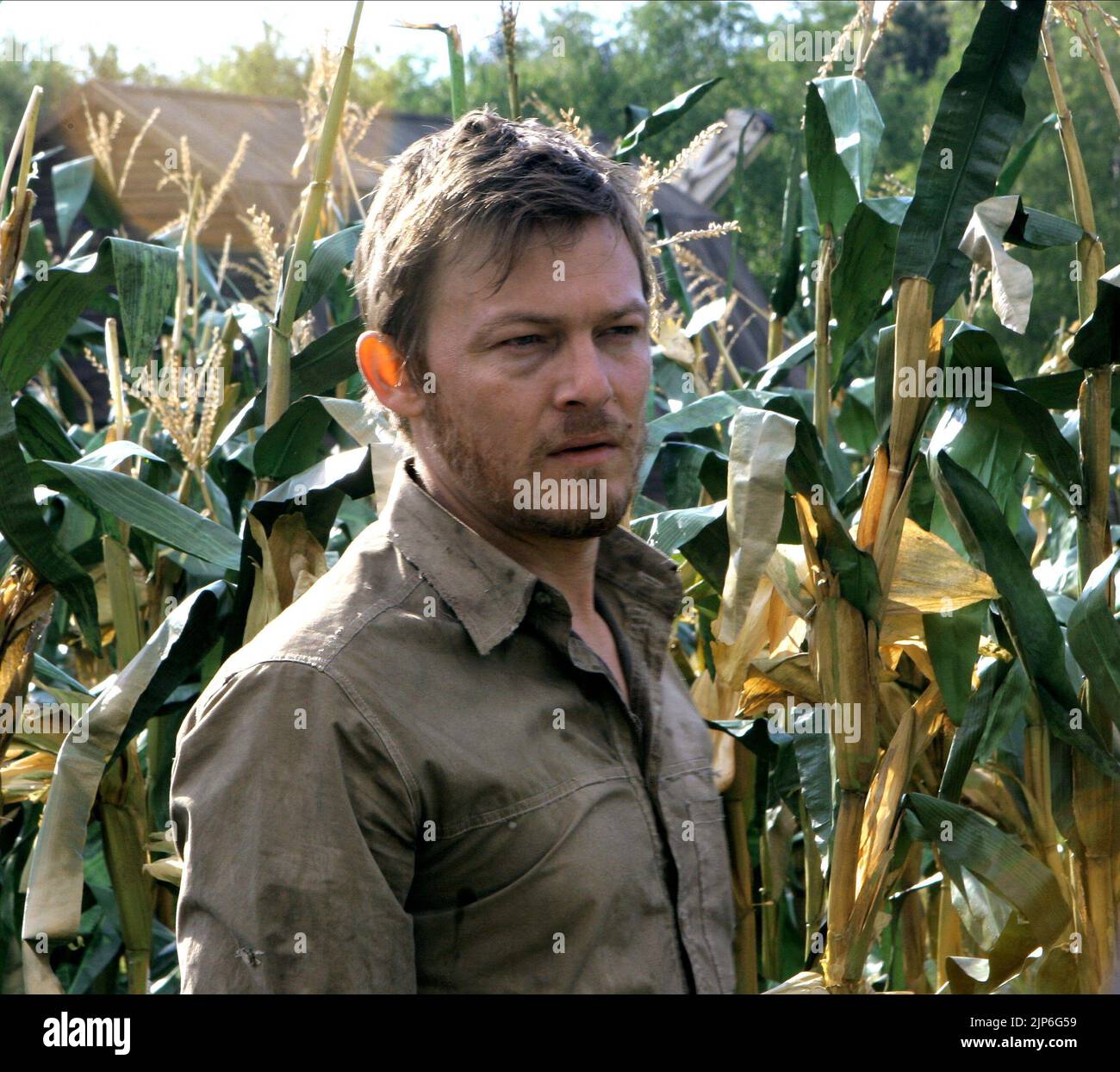 NORMAN REEDUS, MESSENGERS 2: THE SCARECROW, 2009 Stock Photo - Alamy