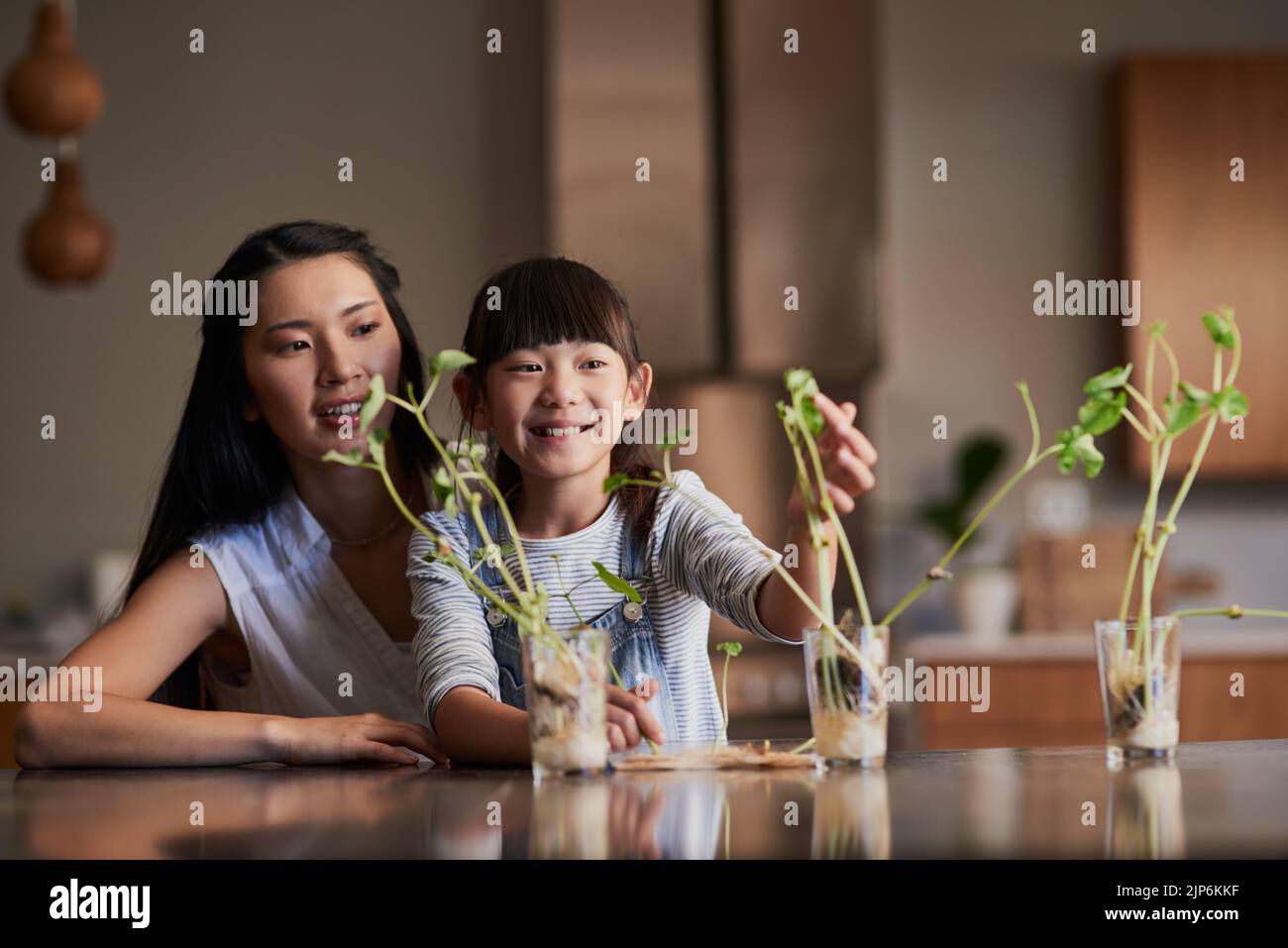 Look how much the plants have grown mommy. a cheerful mother and ...