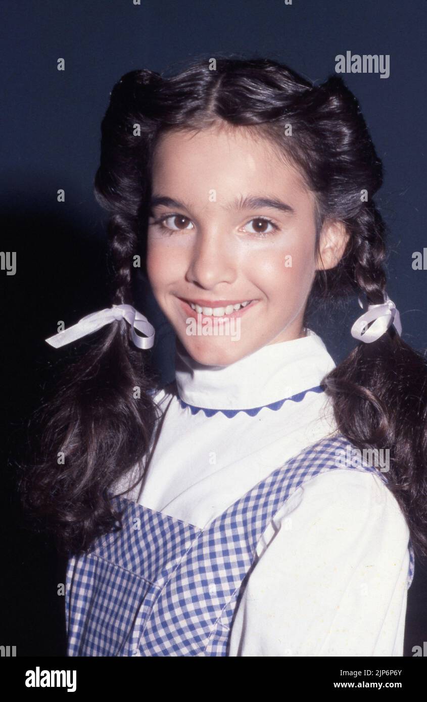 Danielle Brisebois Circa 1980's Credit: Ralph Dominguez/MediaPunch ...