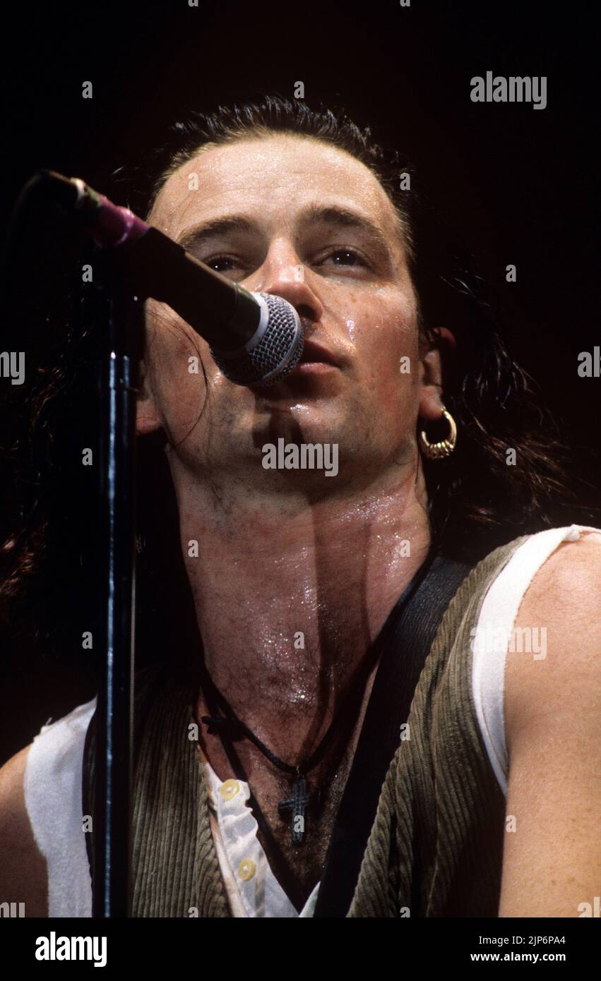 Bono photographed by Ross Pelton in the 1990s. Credit: Ross Pelton / MediaPunch Stock Photo - Alamy