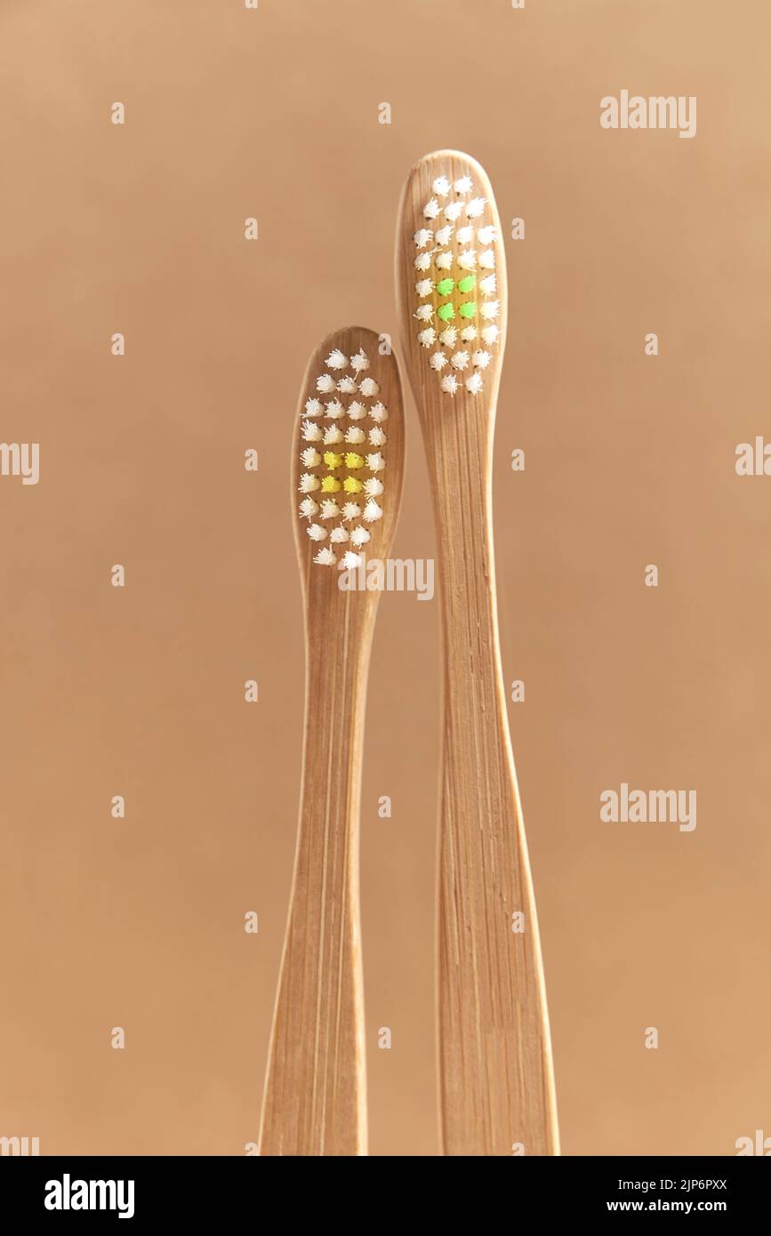 Pair of ecological bamboo toothbrushes. Concepts: sustainable lifestyle ...