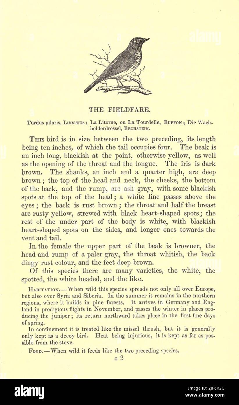 The natural history of cage birds (Page 195 Stock Photo - Alamy