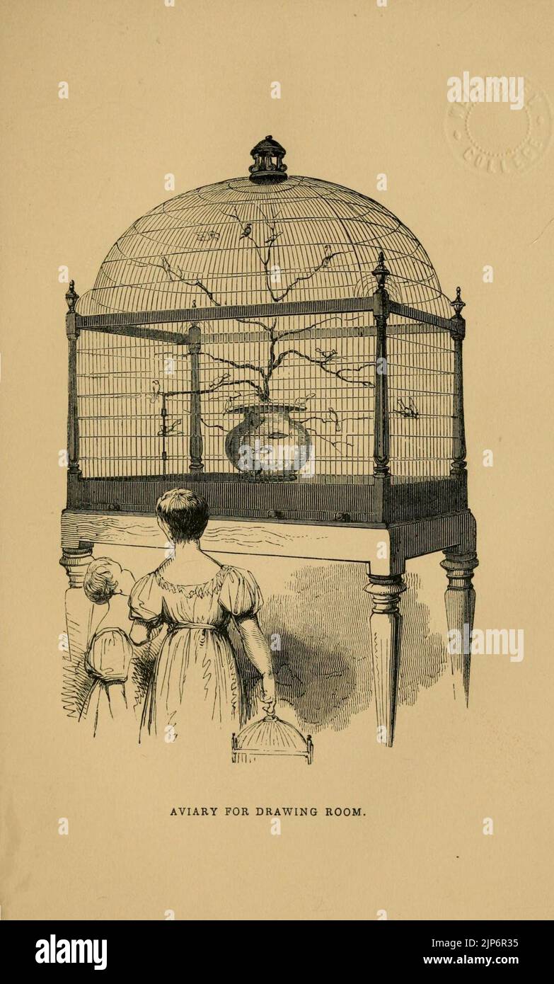 The natural history of cage birds Stock Photo - Alamy