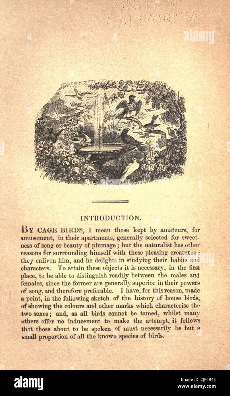 The natural history of cage birds Stock Photo - Alamy