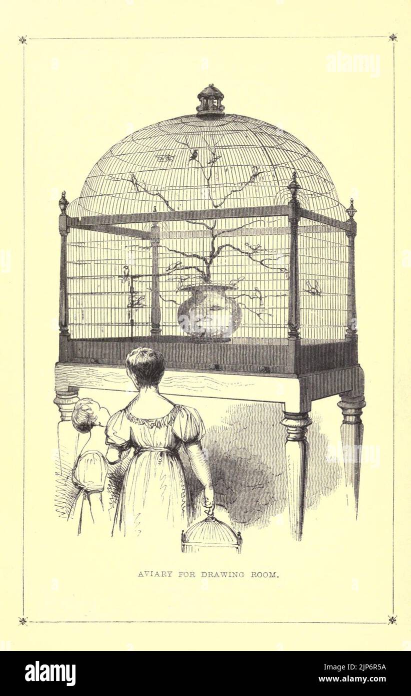 The natural history of cage birds Stock Photo - Alamy