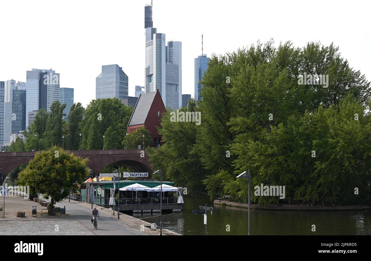 PRODUCTION - 13 July 2022, Hessen, Frankfurt/Main: Hidden among trees ...