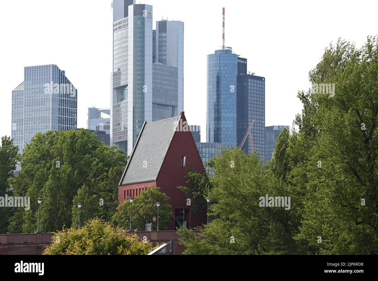 PRODUCTION - 13 July 2022, Hessen, Frankfurt/Main: Hidden among trees ...