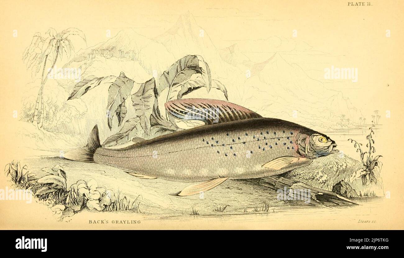 The natural history of fishes, particularly their structure and ...