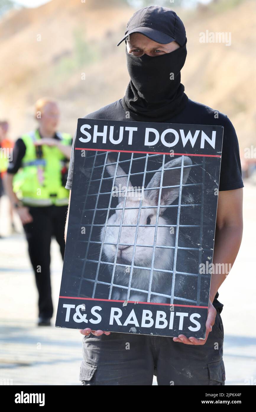 Ancaster, UK. 15th Aug, 2022. Animal rights activist holds a placard ...