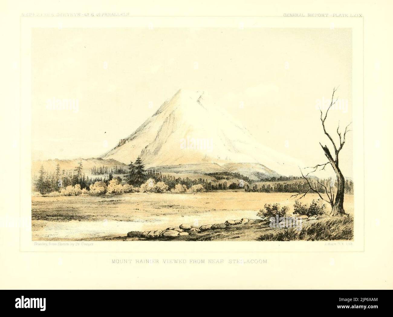 The natural history of Washington territory (Plate LXIX) (7493995132 ...