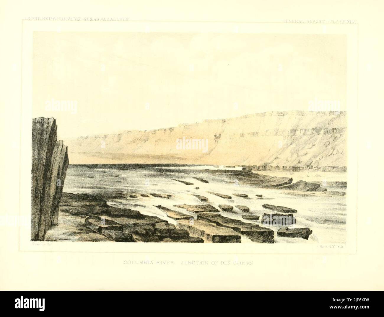 The natural history of Washington territory (Plate XLVI) (7493993766 ...