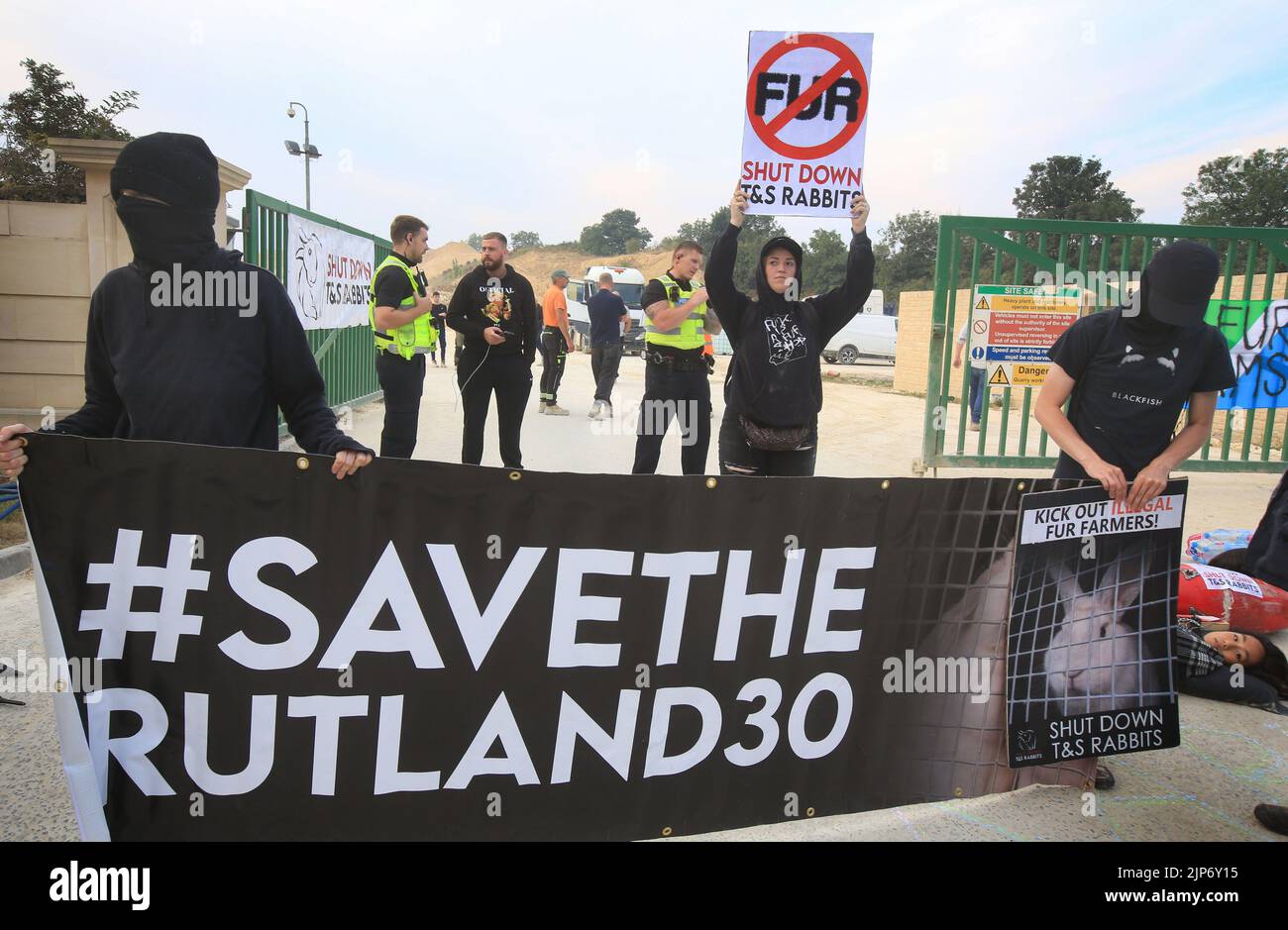 Animal rights activists use a lock-on to block the gates of Goldholme ...